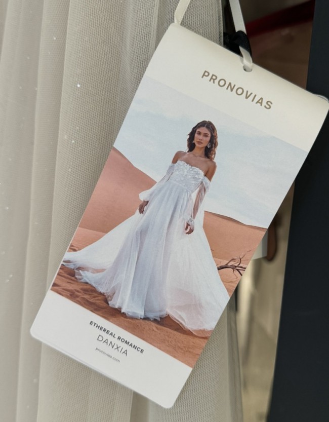 Pronovias, Danxia Sample Wedding Dress Save 30% - Stillwhite