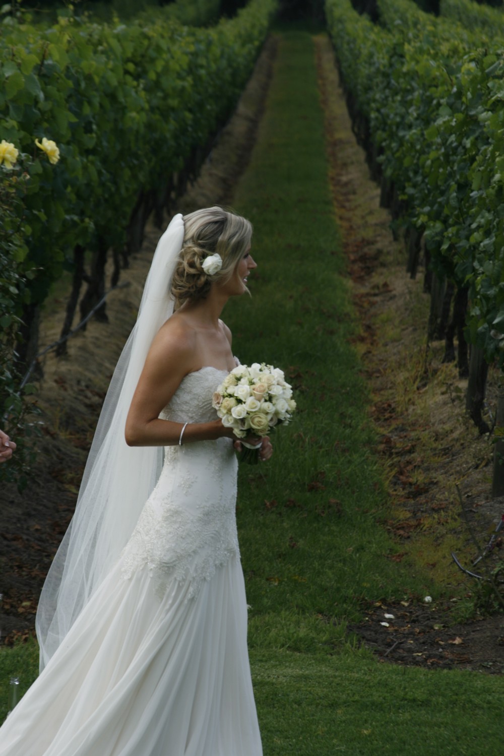 Baccini & Hill Saville Preloved Wedding Dress Save 59% - Stillwhite