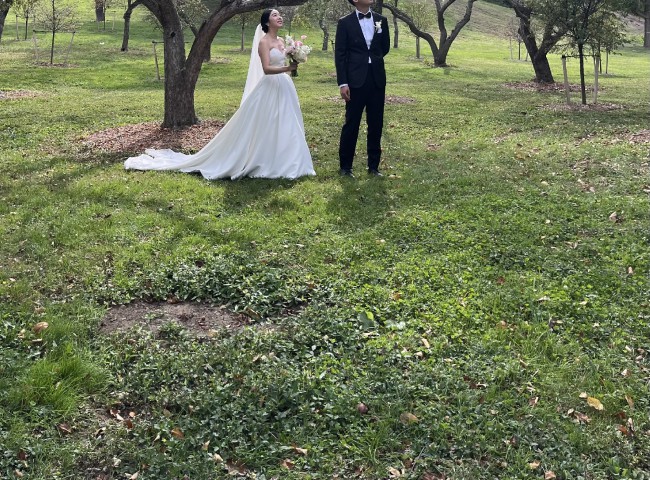Audrey Joyce, Angela Wedding Dress - Stillwhite