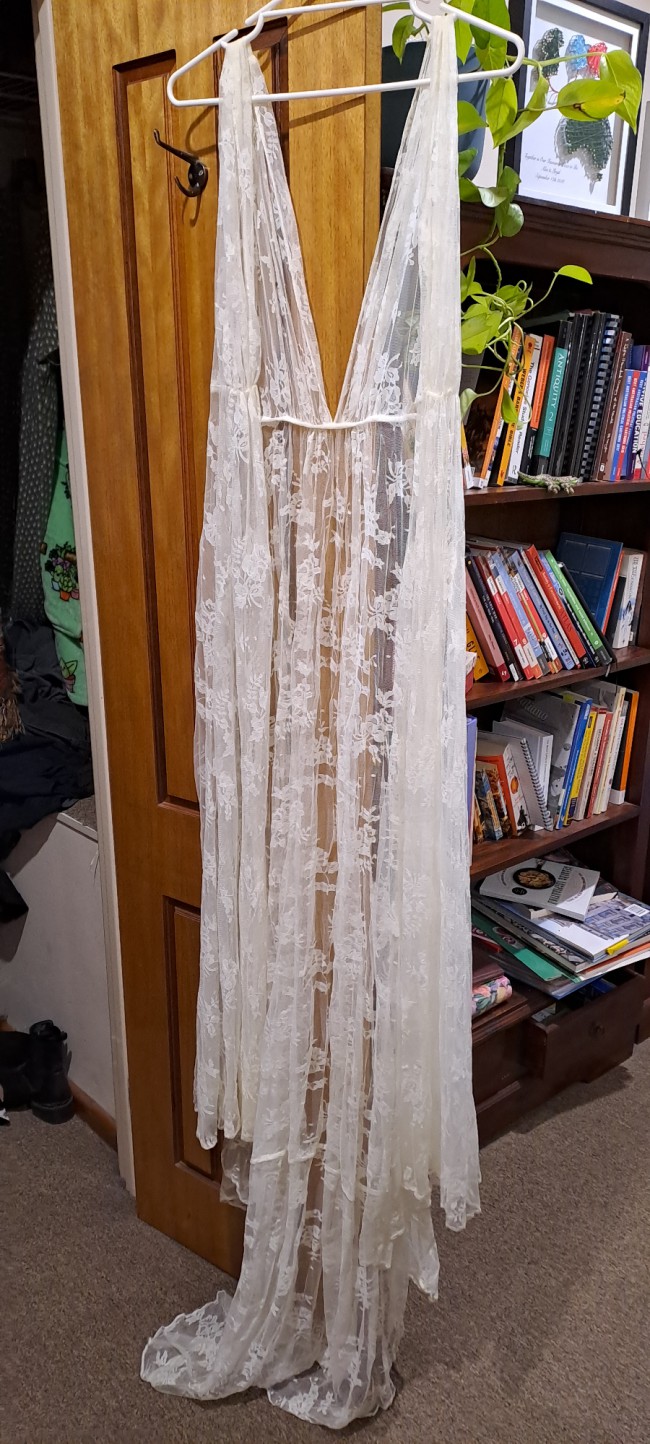 Charlie Brear Voulaire lace overdress Wedding Dress - Stillwhite