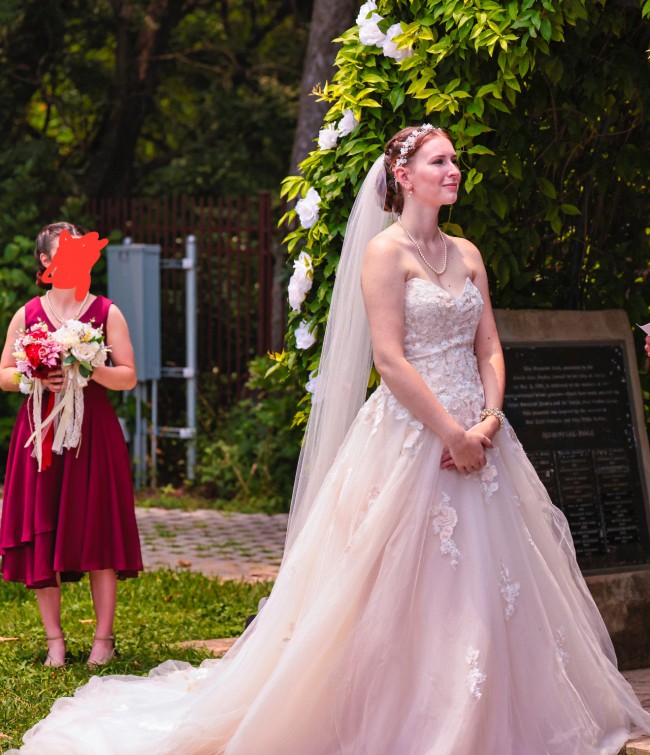 David's Bridal, V3902, V825 Wedding Dress Save 64% - Stillwhite