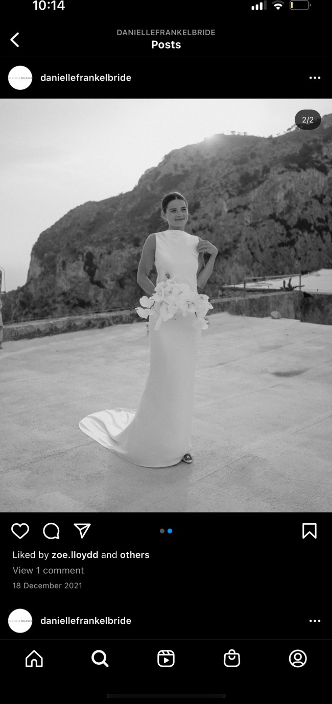 Danielle Frankel, Charlie Gown New Wedding Dress Save 26% - Stillwhite