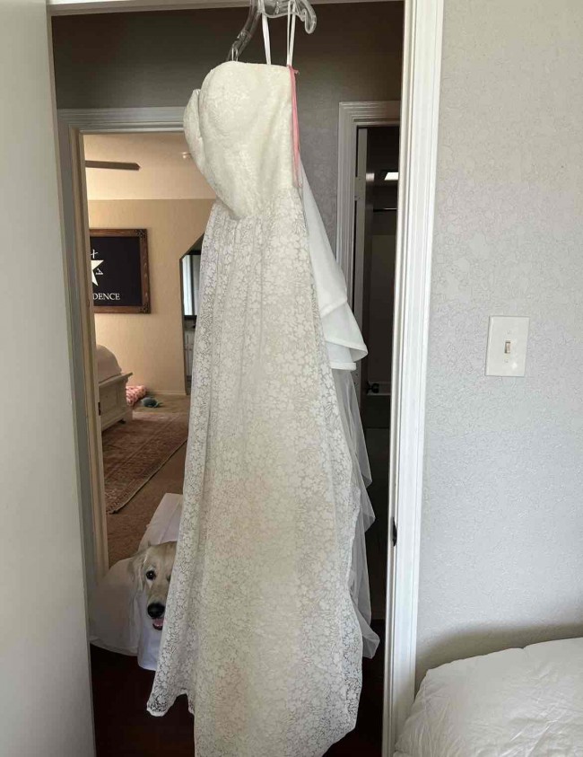 Lis Simon Justina Wedding Dress Save 55% - Stillwhite