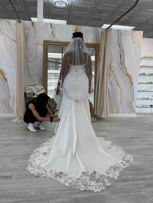 Strut Bridal Spaghetti Strap Lace Illusion Bodice Beaded Crepe New ...