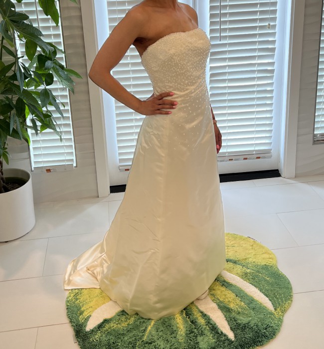 Michelle Roth Domo Adami collab with Michelle Roth Wedding Dress Save ...