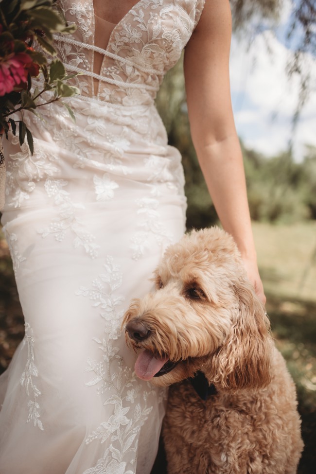 Rebecca Ingram Wedding Dress Save 61% - Stillwhite