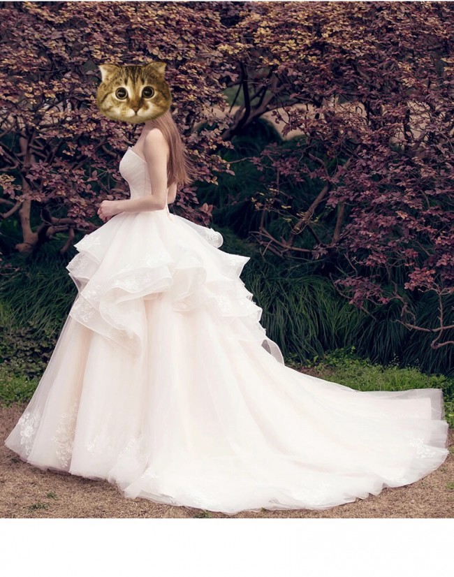 Ball Gown Used Wedding Dress Save 80% - Stillwhite