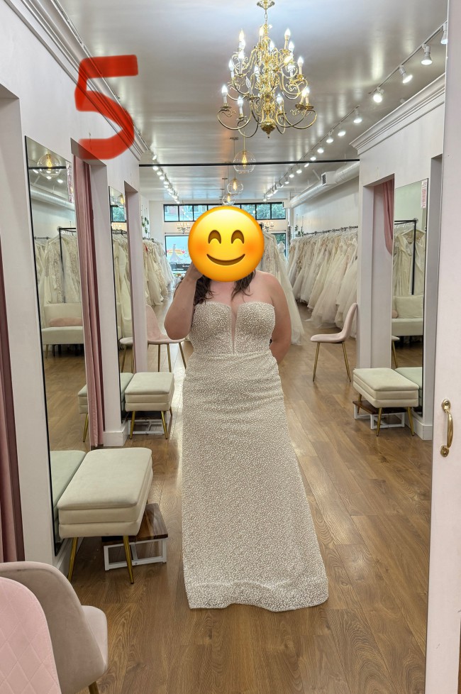 Pronovias, Cosmina Sample Wedding Dress Save 40% - Stillwhite