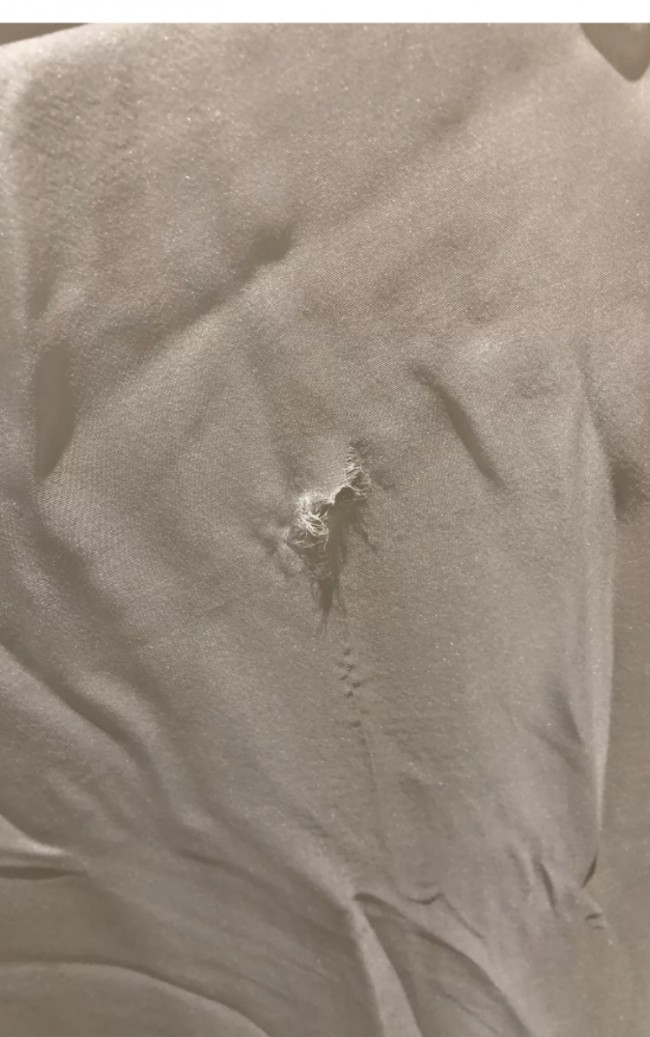 Elizabeth De Varga Dv Eloise Maria Wedding Dress Save 95% - Stillwhite