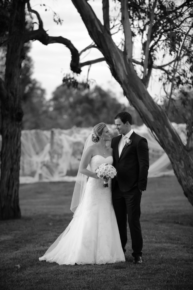 Alfred Angelo Fiona Wedding Dress Style AA2438 Used Wedding Dress Save ...