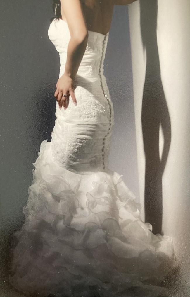 Raffaele Ciuca Wedding Dress Save 6% - Stillwhite